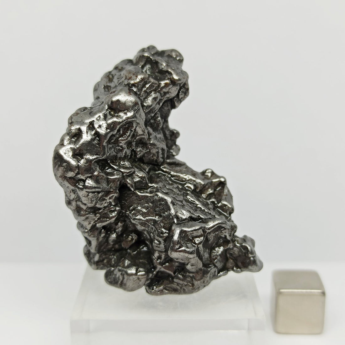 Metallic Meteorite - CAMPO DEL CIELO (Argentina, 4500 years) +50 grams ...